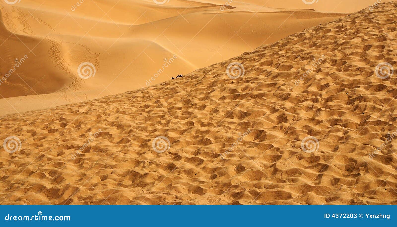 Desierto imagen de archivo. Imagen de contraste, amarillo - 4372203