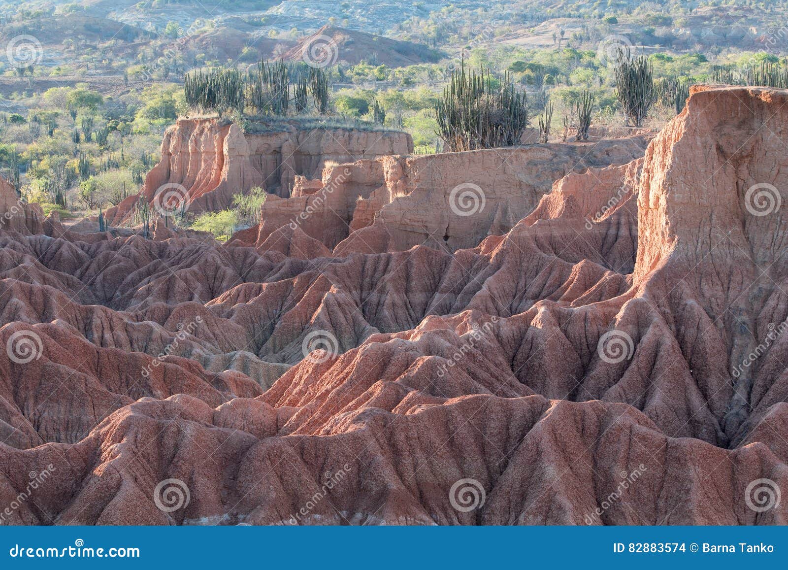 Desierto Colombia De Tatacoa Foto de archivo - Imagen de turismo ...