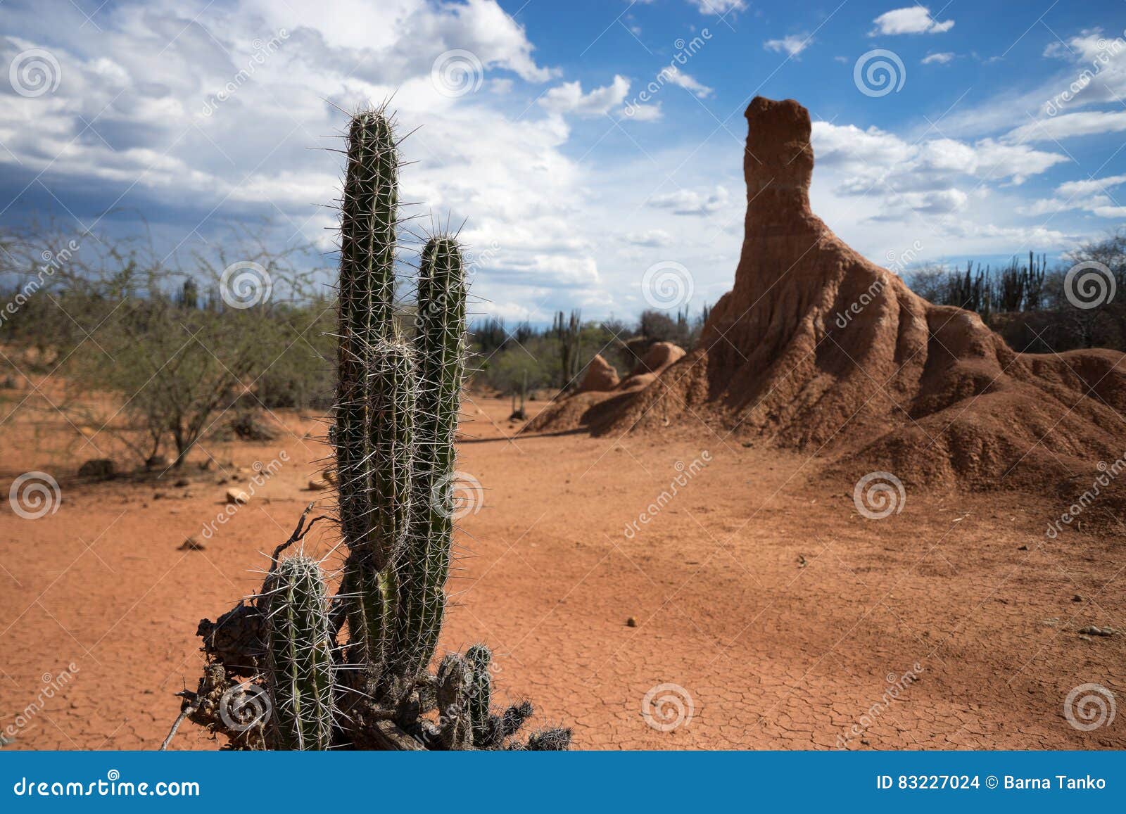 Desierto Colombia De Tatacoa Foto de archivo - Imagen de duna, exterior ...