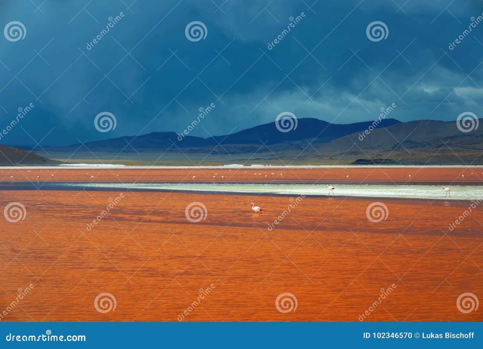 Desierto De Atacama Bolivia Foto de archivo - Imagen de bolivia ...
