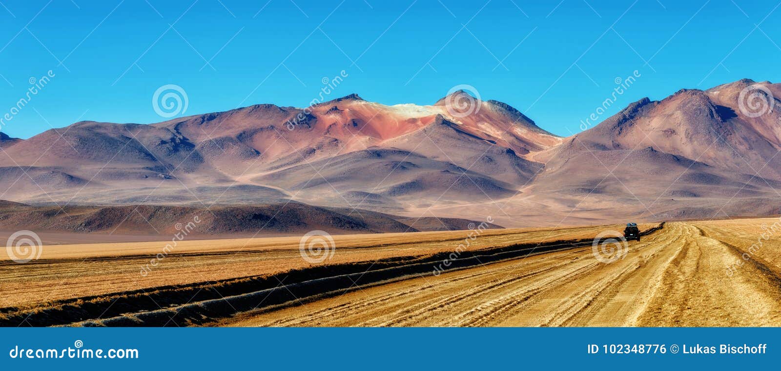 Desierto De Atacama Bolivia Foto de archivo - Imagen de flamenco ...