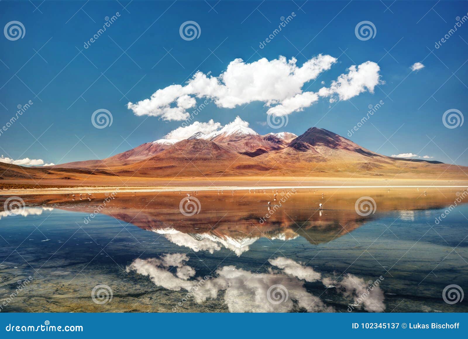 Desierto De Bolivia Atacama Imagen de archivo - Imagen de chile ...
