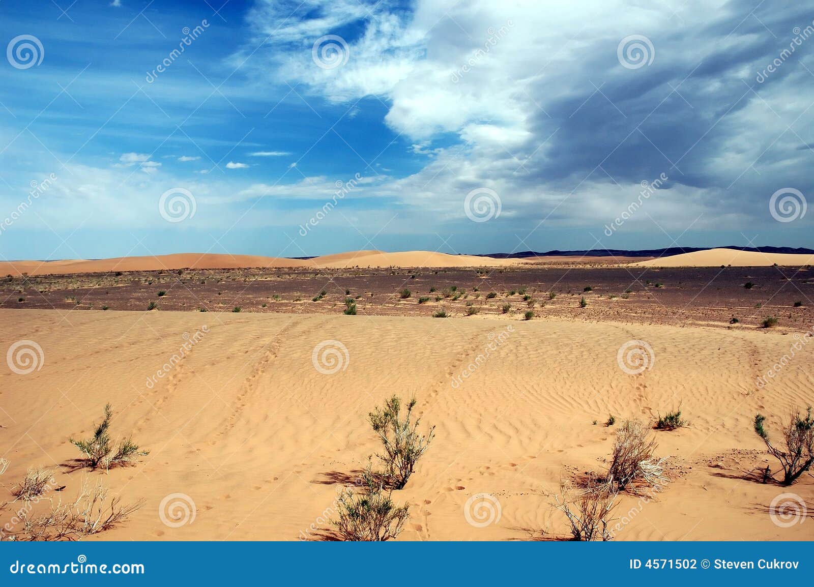 Desierto de Gobi foto de archivo. Imagen de desierto, mongolia - 4571502