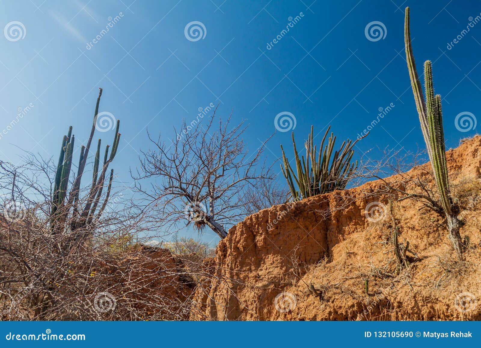 Desierto De Tatacoa, Colombia Foto de archivo - Imagen de america ...