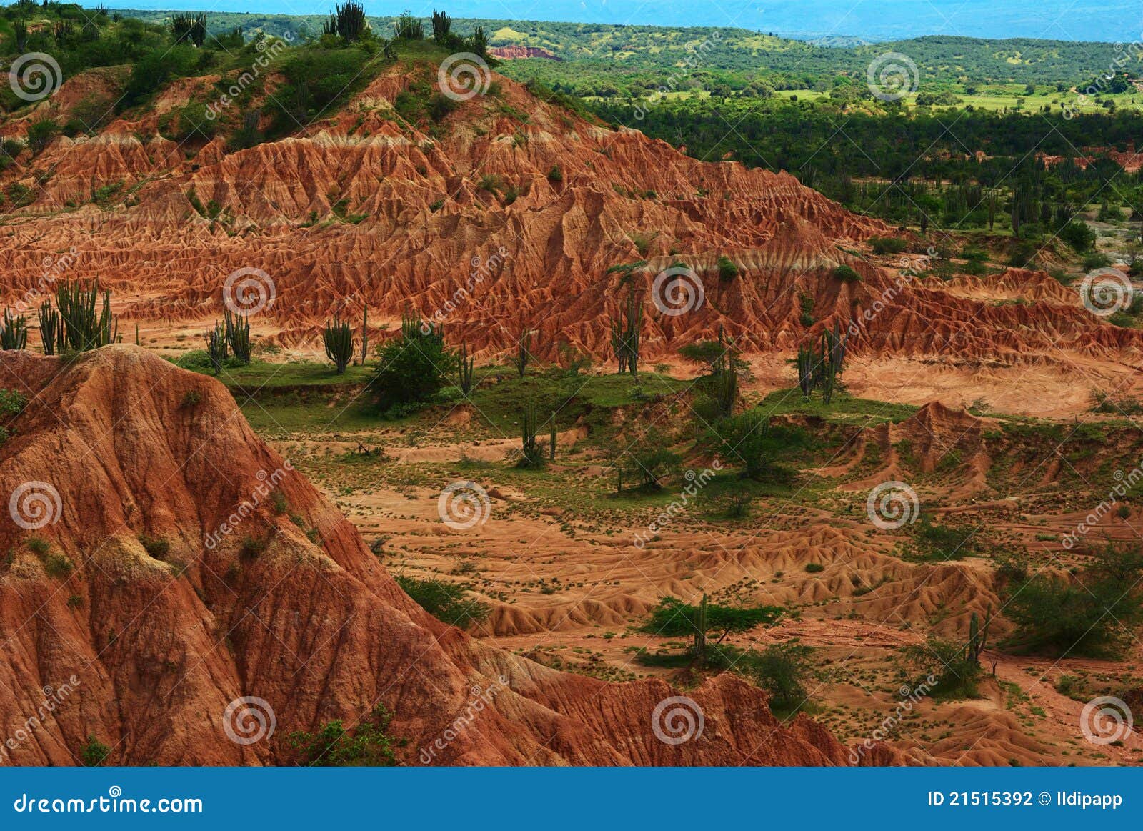 Desierto De Tatacoa, Colombia Foto de archivo - Imagen de nadie ...