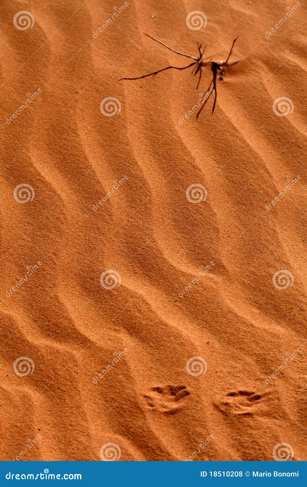 Desierto libio foto de archivo. Imagen de seco, cielo - 18510208