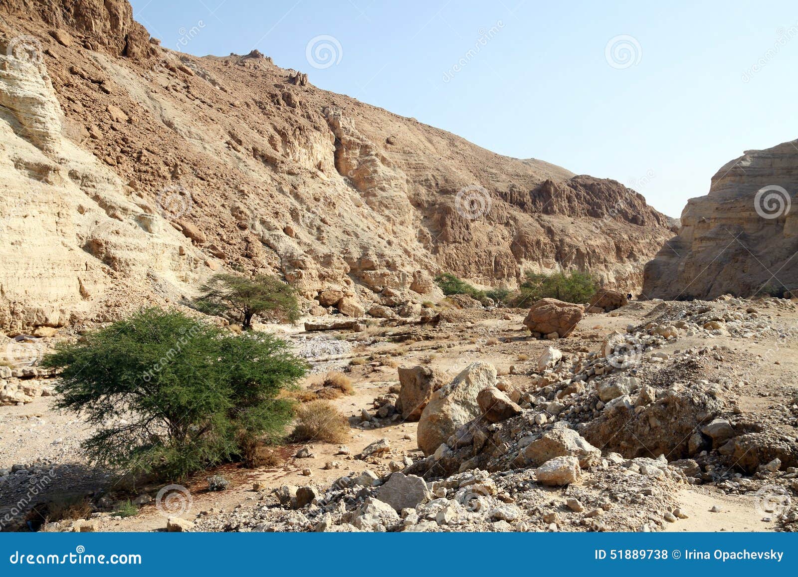 Desierto rocoso foto de archivo. Imagen de barranca, israel - 51889738