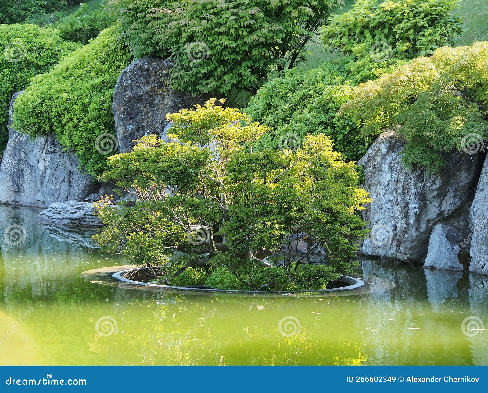 Design and Architectural Solutions in the Organization of Park Space ...