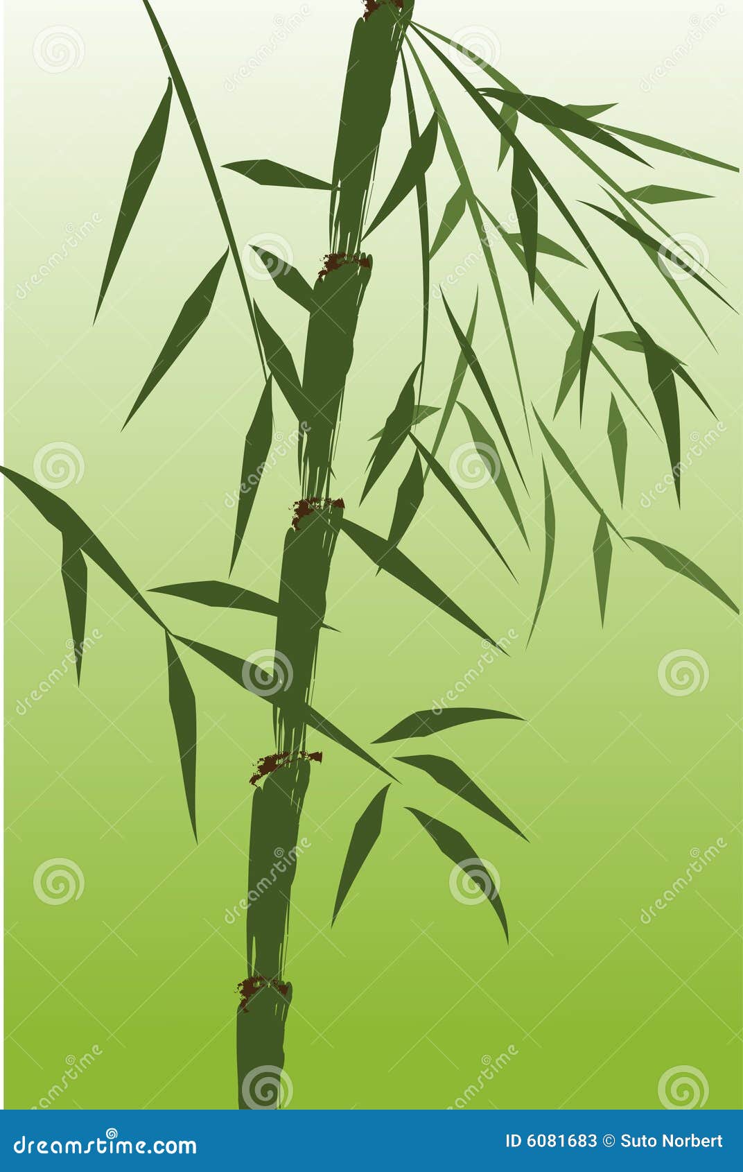 Design of Chinese Bamboo Trees Stock Vector - Illustration of ...