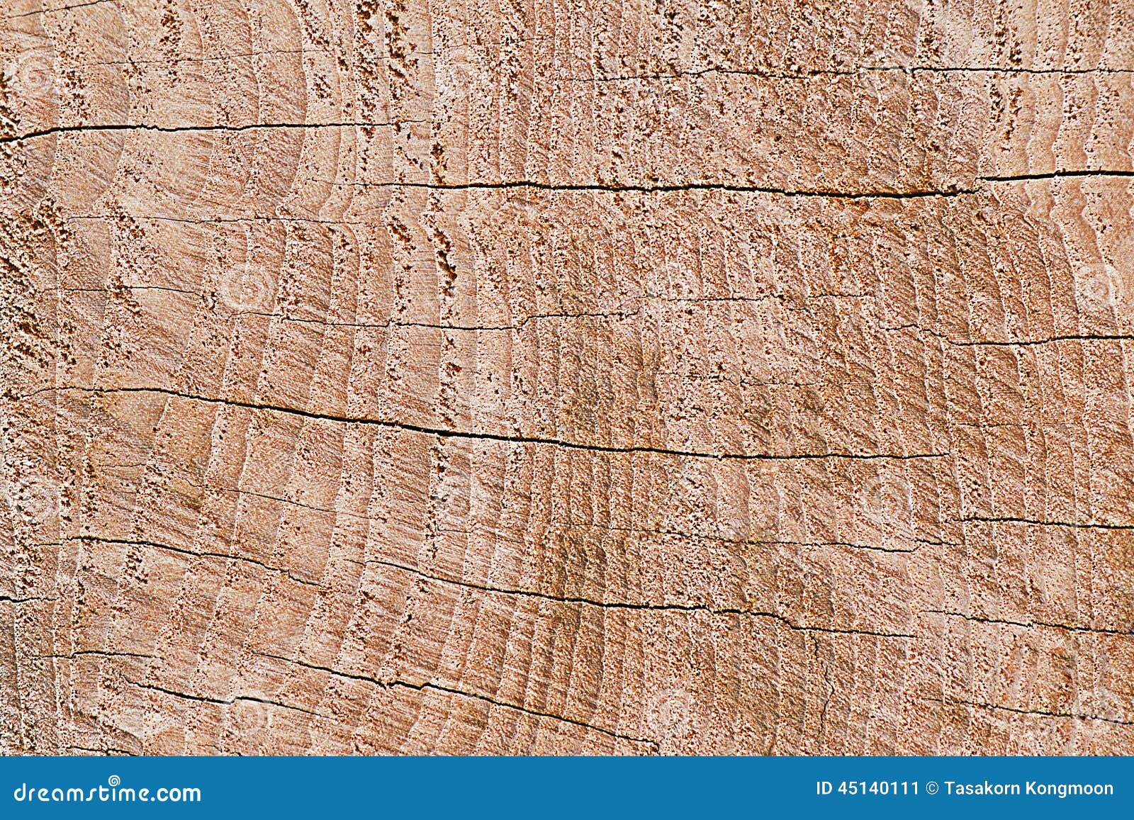 Design of Crack Wood for Pattern and Background Stock Image - Image of ...
