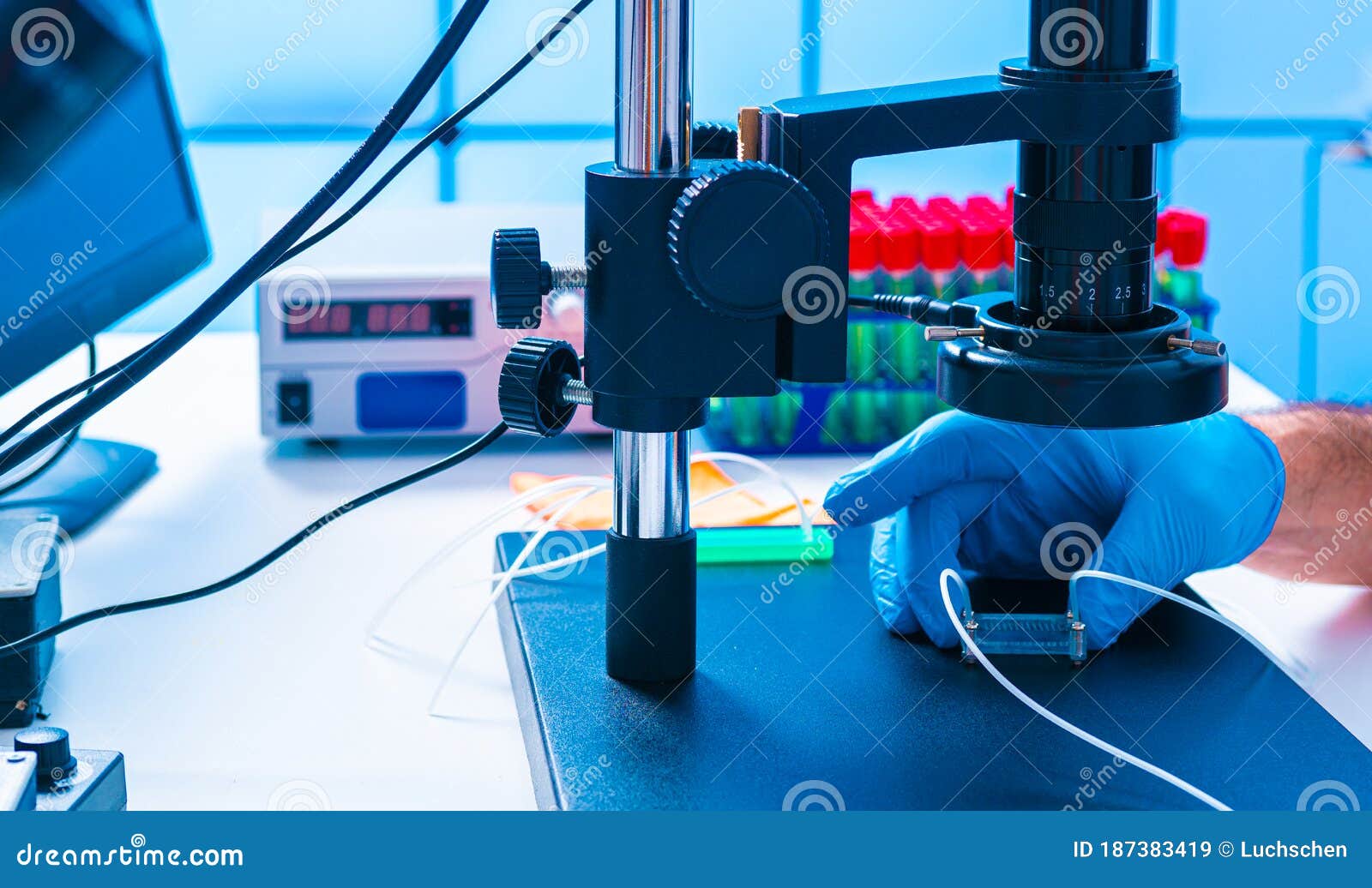 Design Development Lab on Chip Device in Microfluidic Lab Stock Image ...