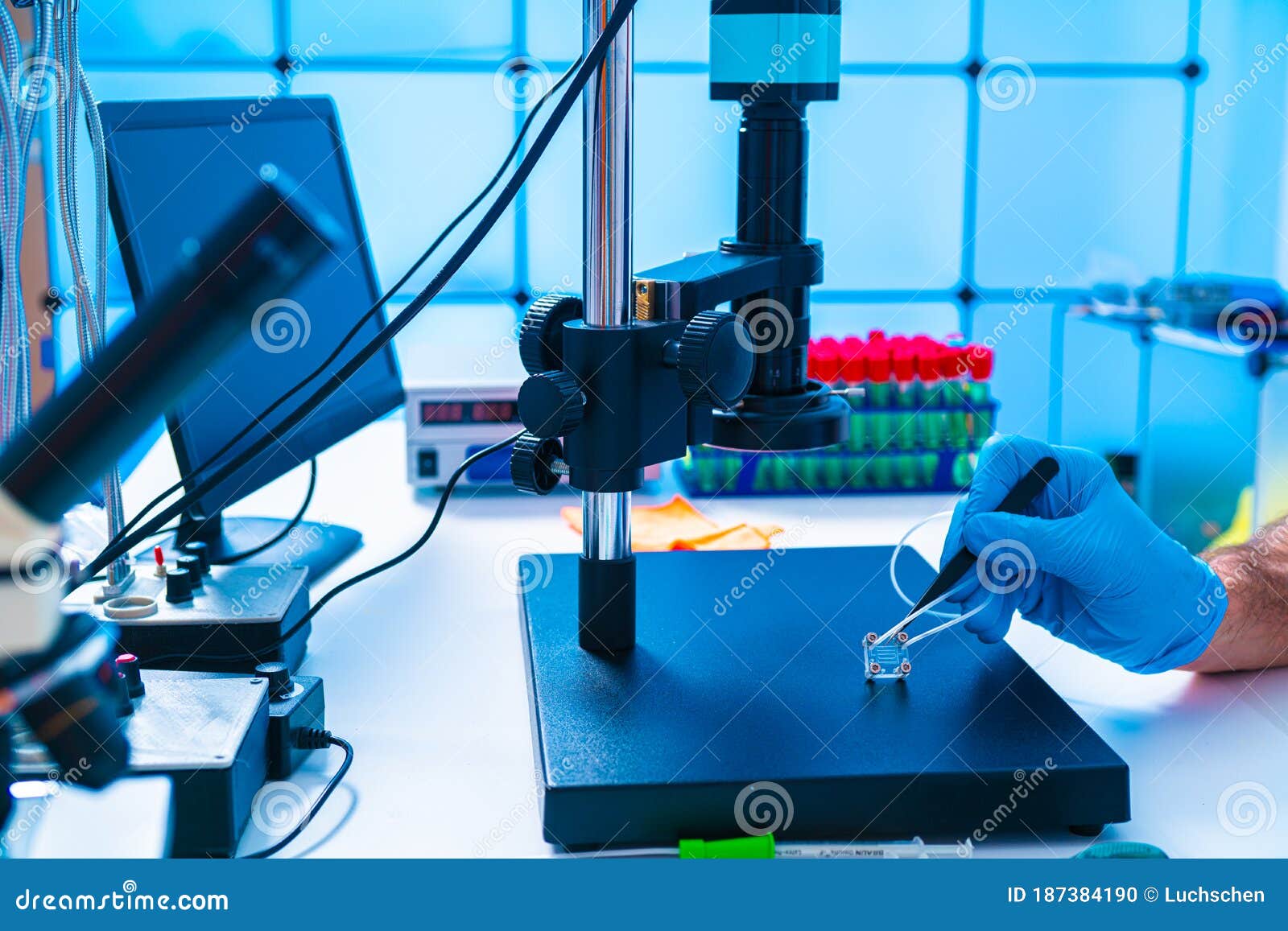 Design Development Lab on Chip Device in Microfluidic Lab Stock Photo ...