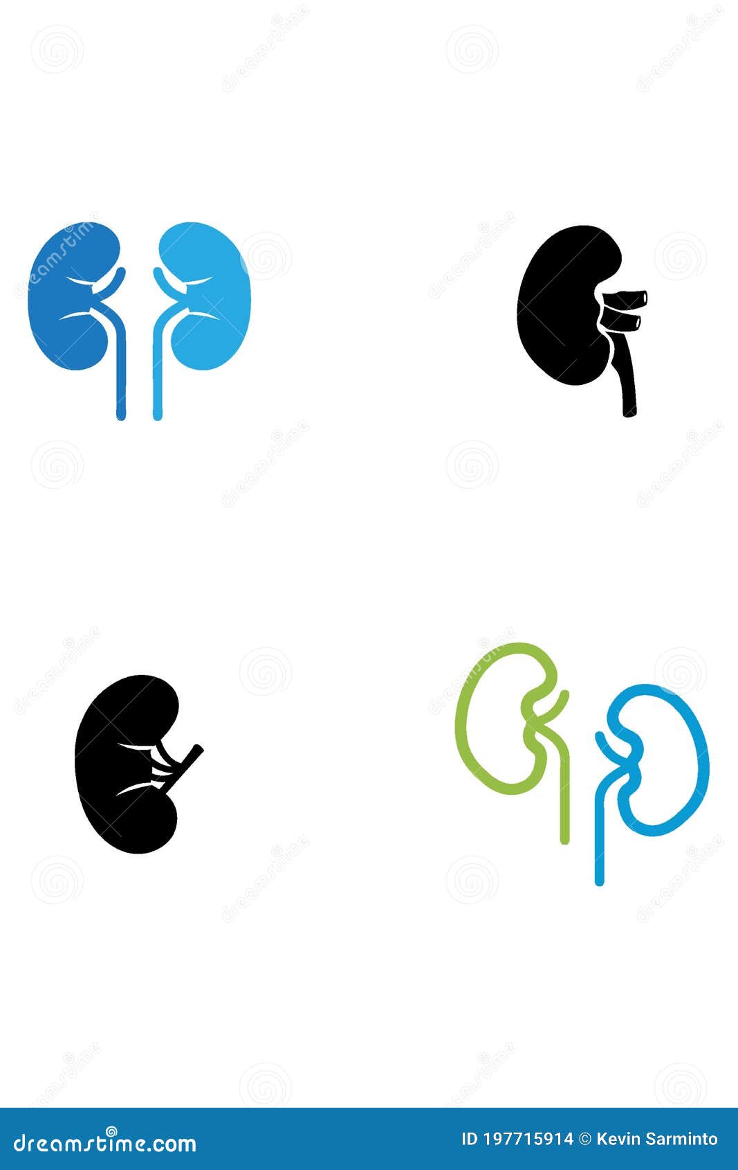 Design do logotipo do rim ilustração do vetor. Ilustração de ciência ...