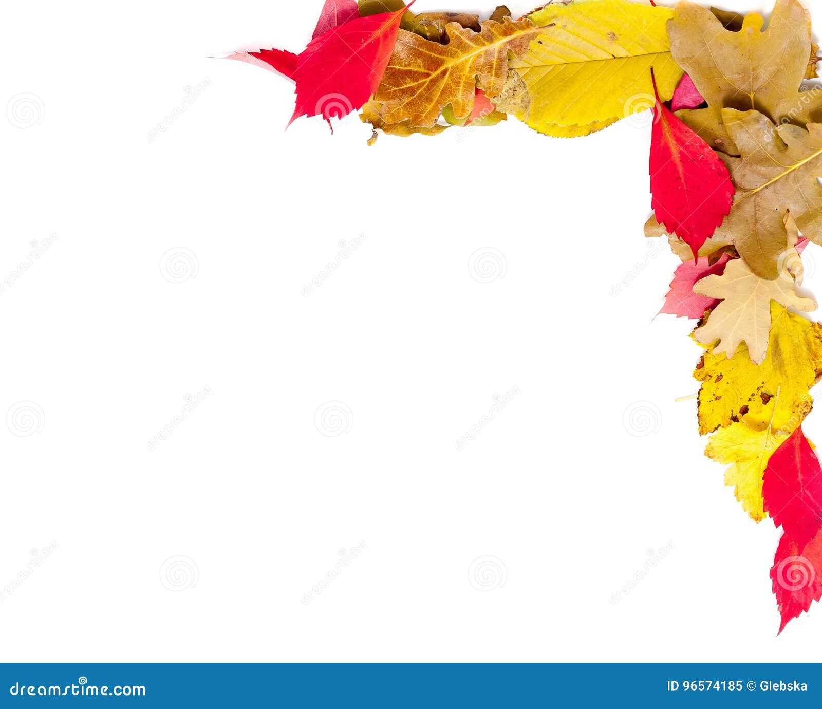 Design Element. Corner Frame of Fallen Leaves Stock Image - Image of ...