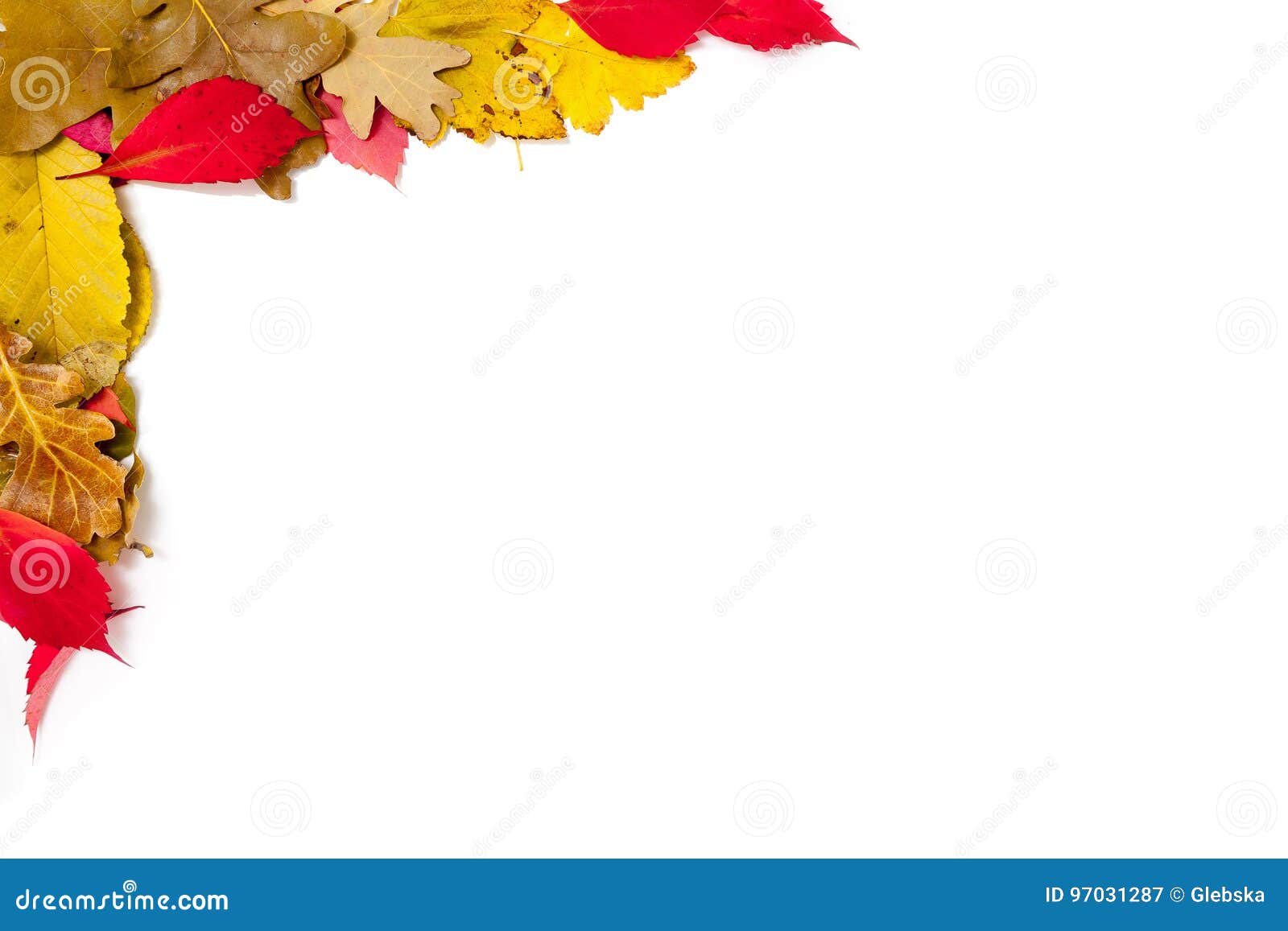 Design Element. Corner Frame of Fallen Leaves Stock Illustration ...