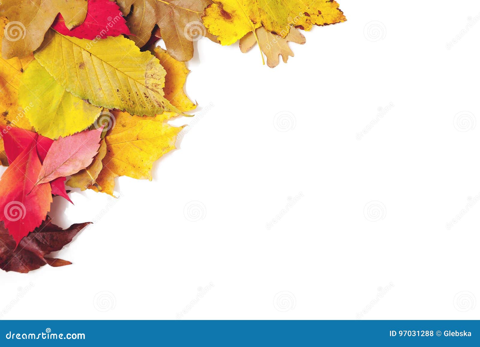 Design Element. Corner Frame of Fallen Leaves Stock Illustration ...