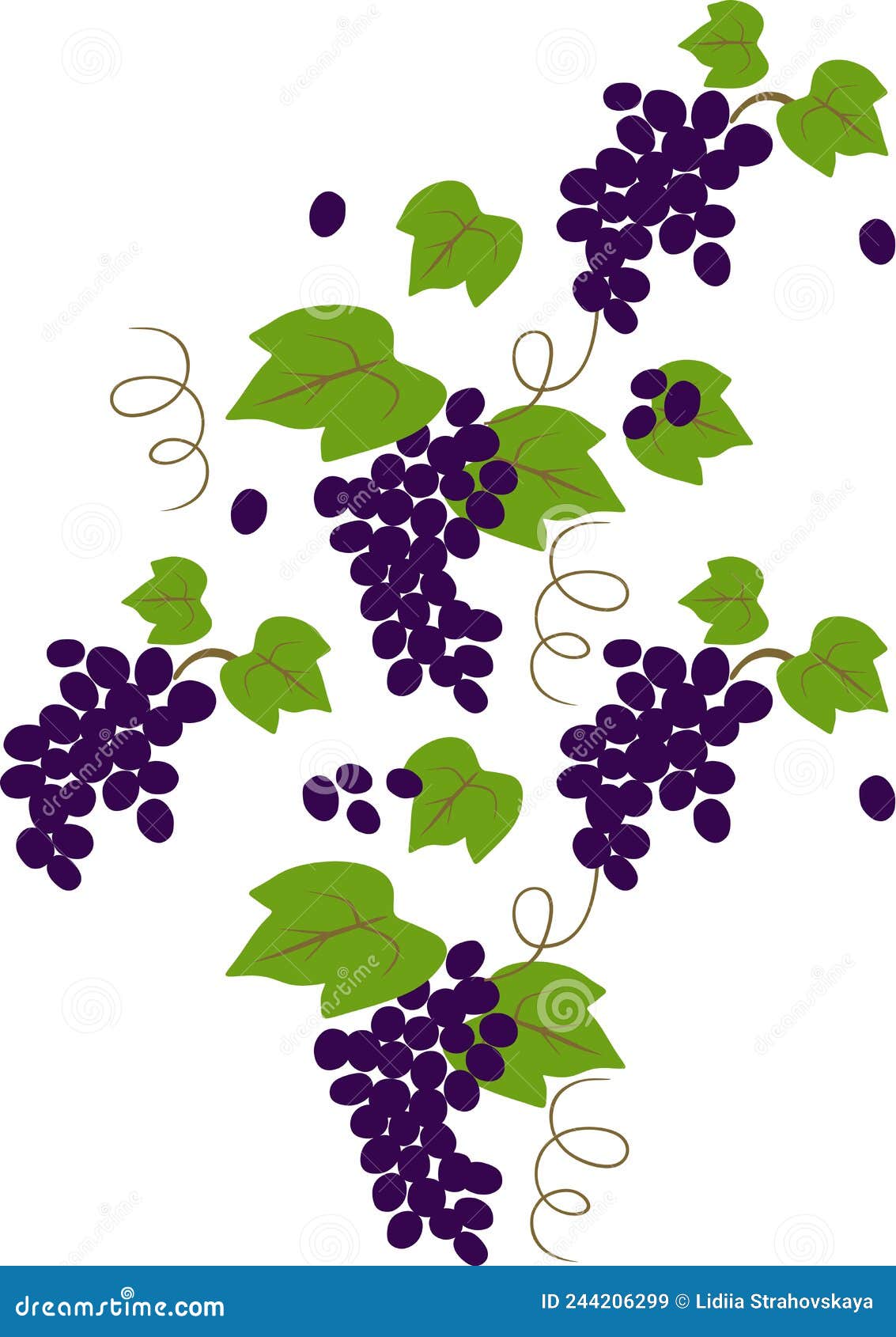 Design Elements. Abstract Grapes. Trendy Hand Drawn Textures. Stock ...