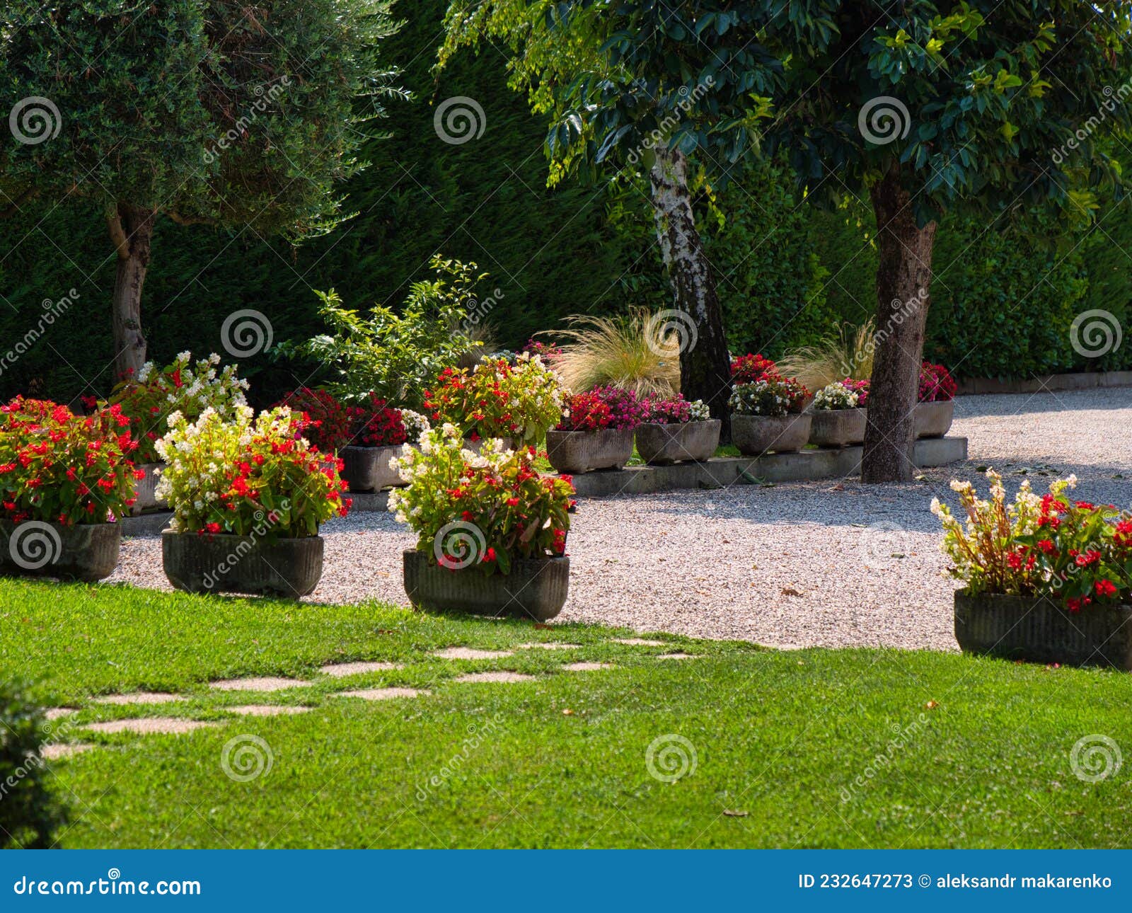 Design Elements of the Green Zone in the Garden Stock Image - Image of ...