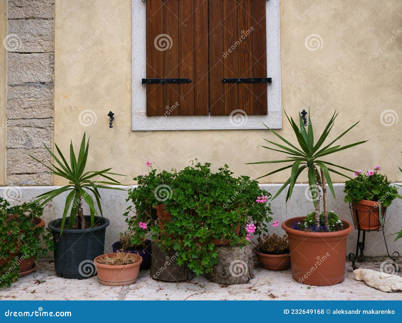 Design Elements of the Green Zone in the Garden Stock Photo - Image of ...