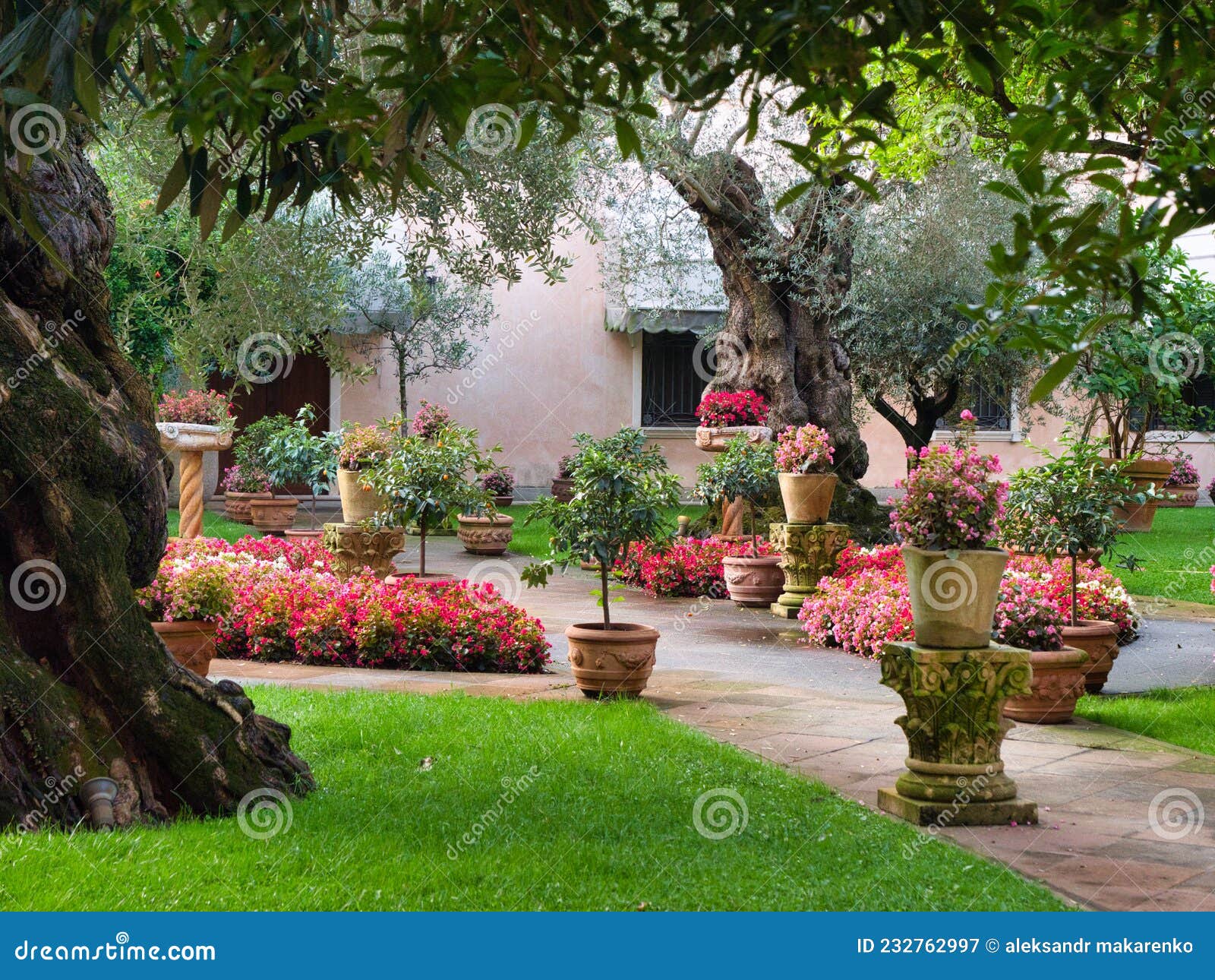 Design Elements of the Green Zone in the Garden Stock Image - Image of ...
