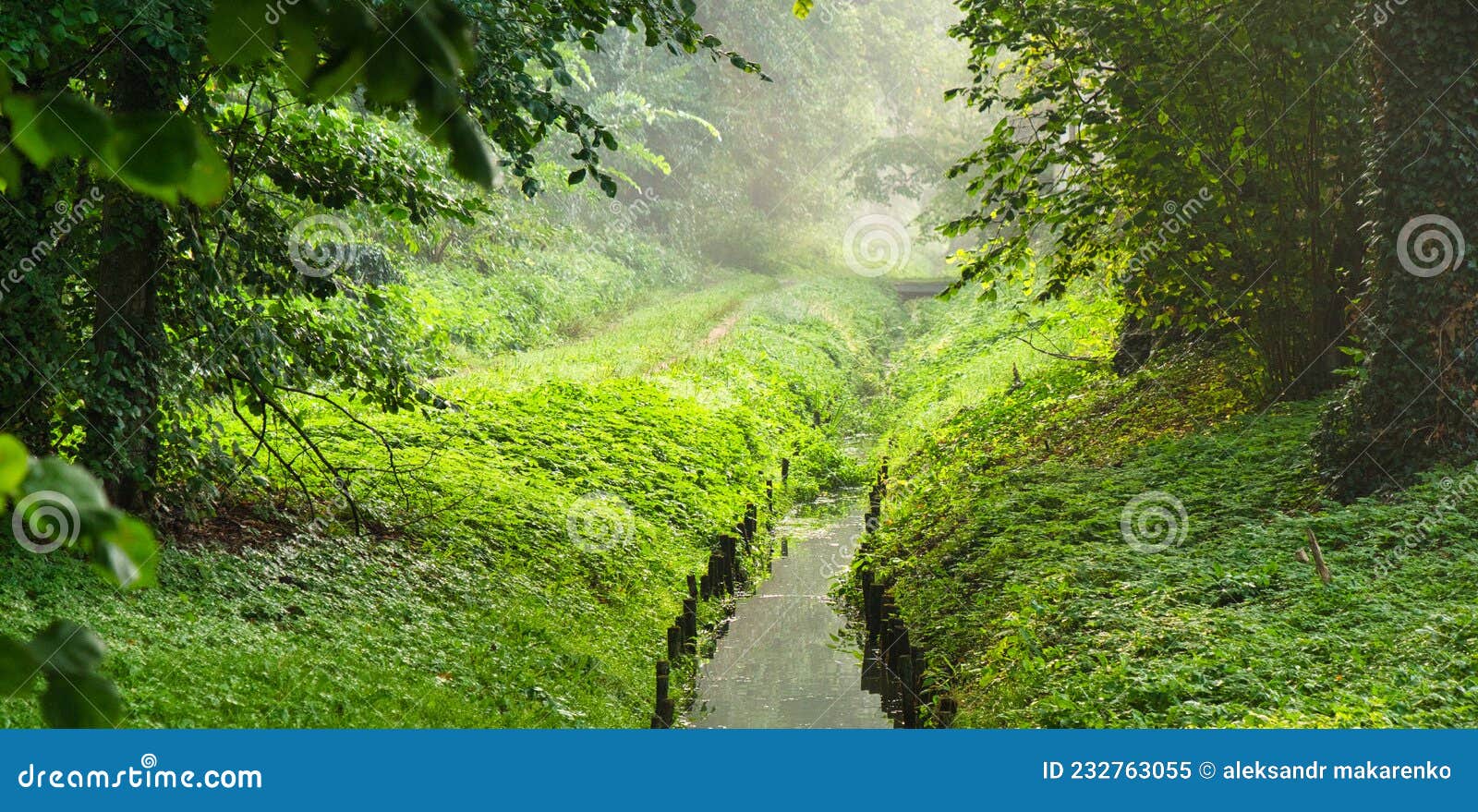 Design Elements of the Green Zone in the Garden Stock Image - Image of ...