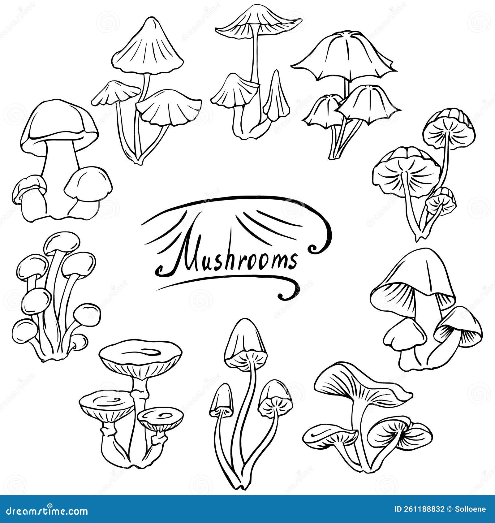 Stylized Contour Vector Set of Mushrooms Stock Vector - Illustration of ...