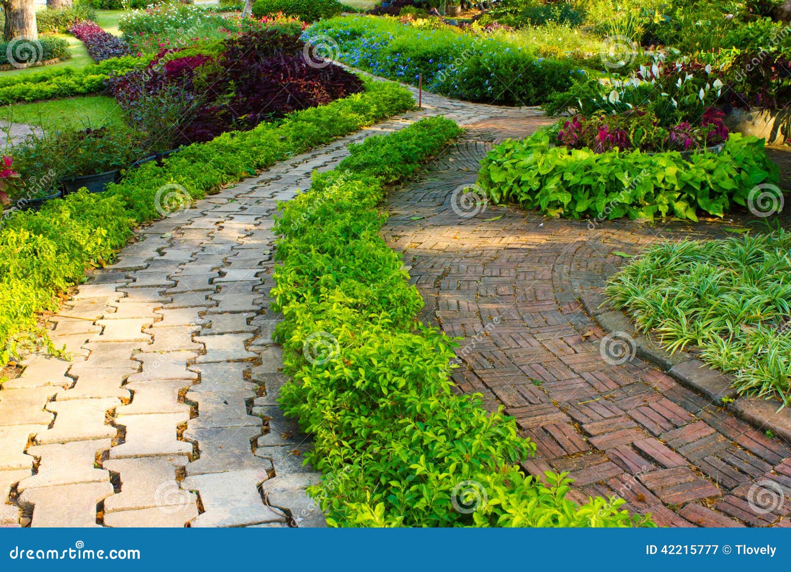 Design flowery garden stock image. Image of gardening - 42215777