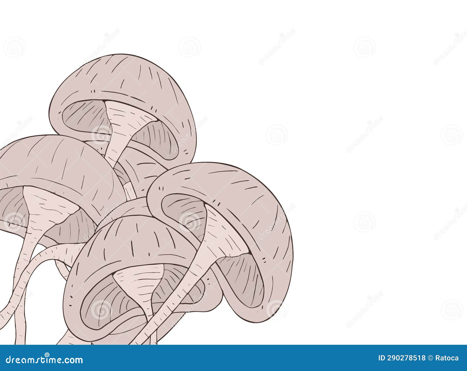 Design of Mushroom Hand Drawing Stock Vector - Illustration of design ...