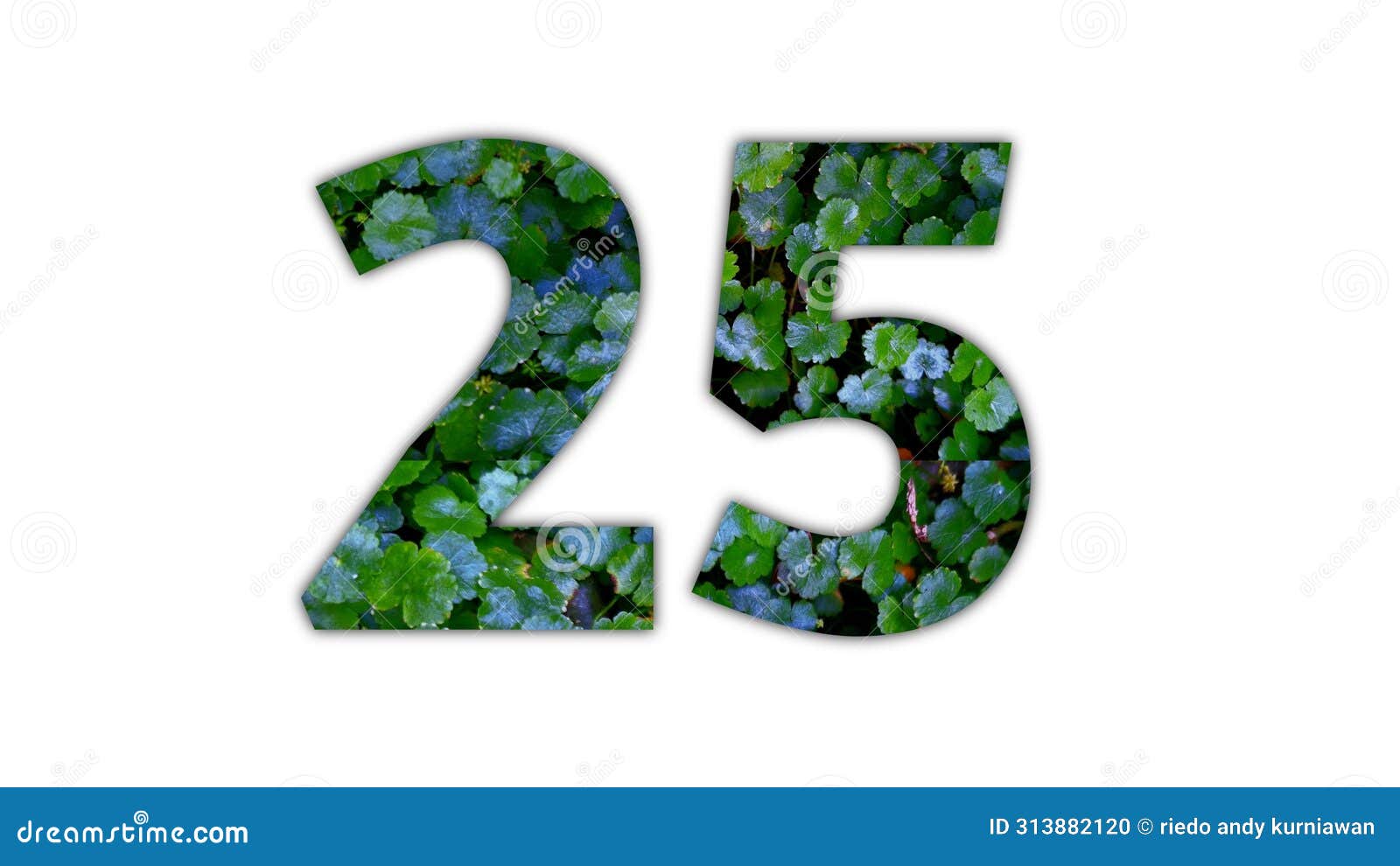 Design Number 25 with Leaf Texture on White Background Stock Photo ...