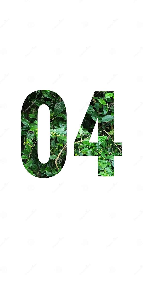 Design Number with Leaf Texture on White Background Stock Image - Image ...