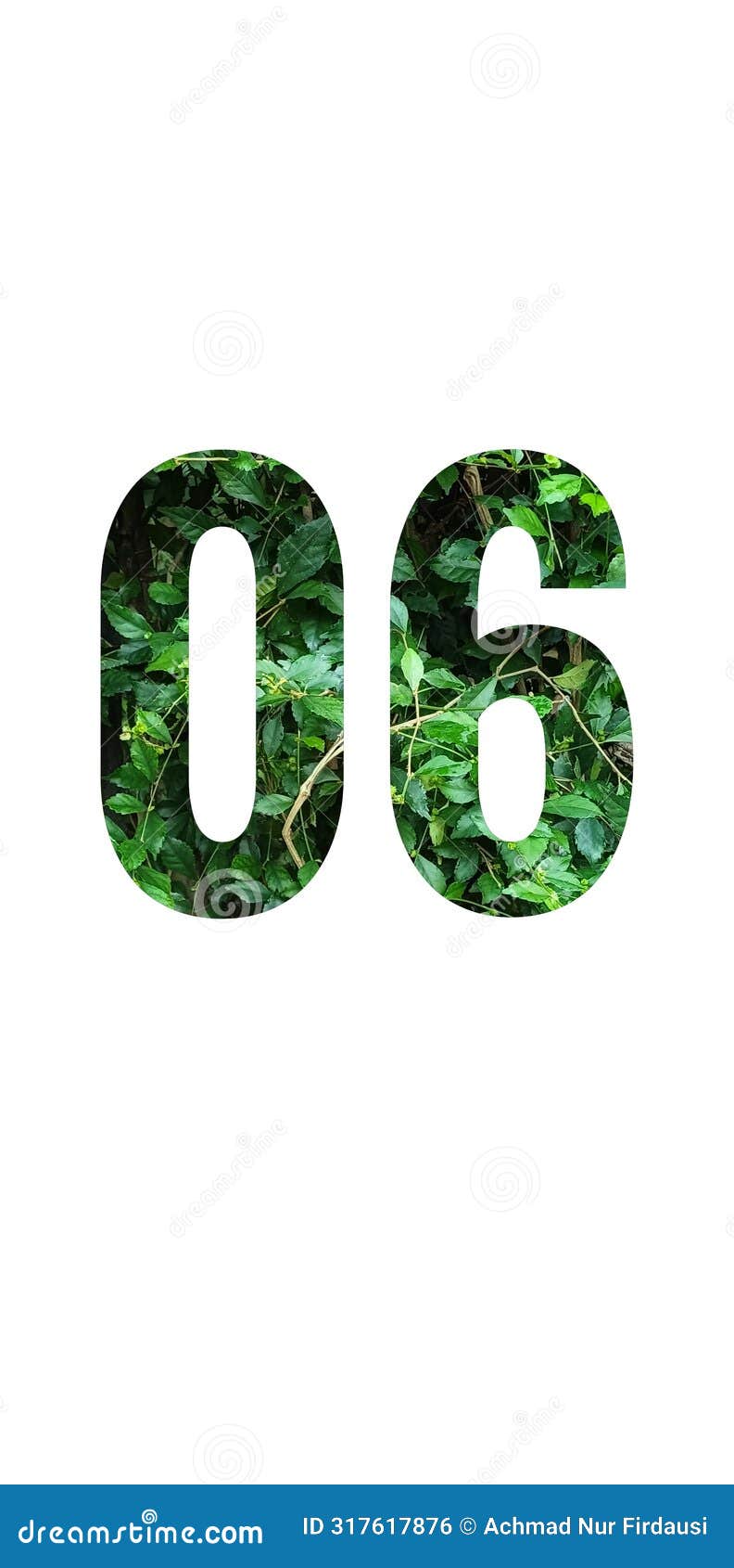 Design Number with Leaf Texture on White Background Stock Photo - Image ...
