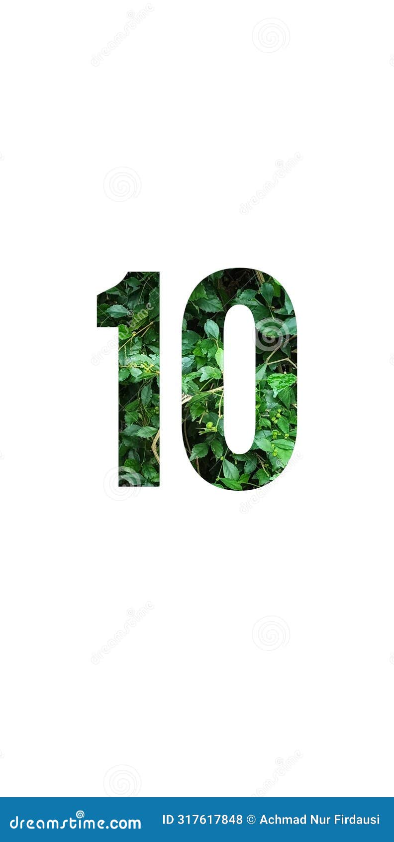 Design Number with Leaf Texture on White Background Stock Photo - Image ...