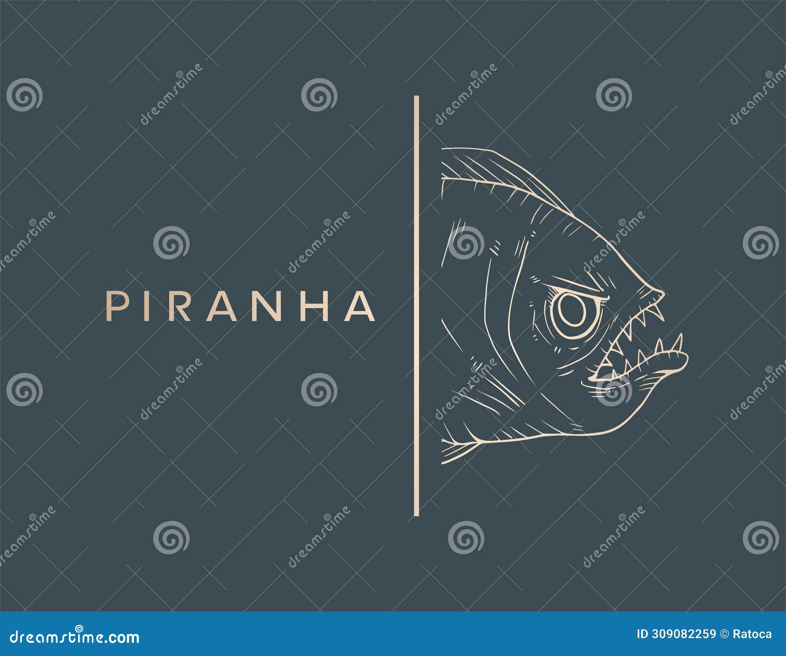 Piranha Illustration, Drawing, Engraving, Ink, Line Art, Vector ...