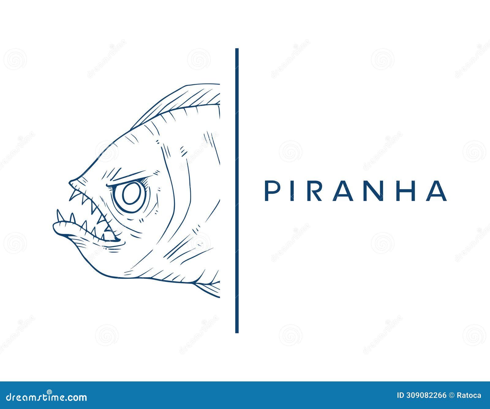 Piranha Illustration, Drawing, Engraving, Ink, Line Art, Vector ...