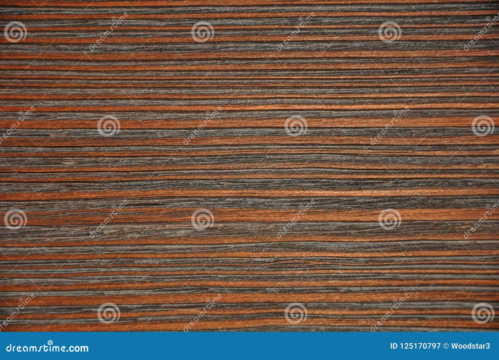 Wood Texture. Texture Relief. Breeds of Solid Wood. Stock Image - Image ...