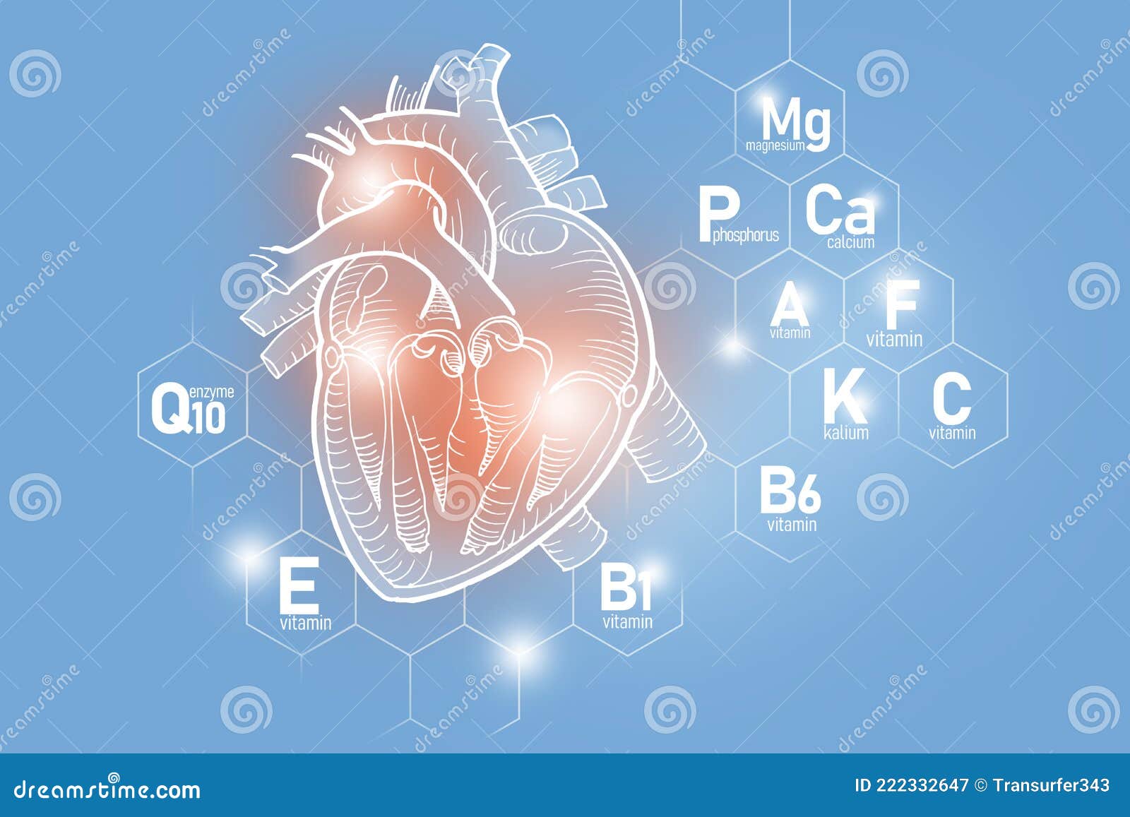 Essential Nutrients for Heart Health Including Q10, Calcium, Magnesium ...