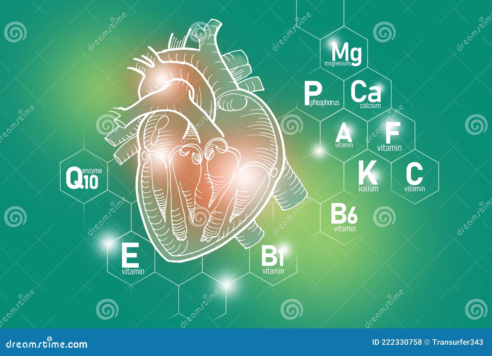 Essential Nutrients for Heart Health Including Q10, Calcium, Magnesium ...