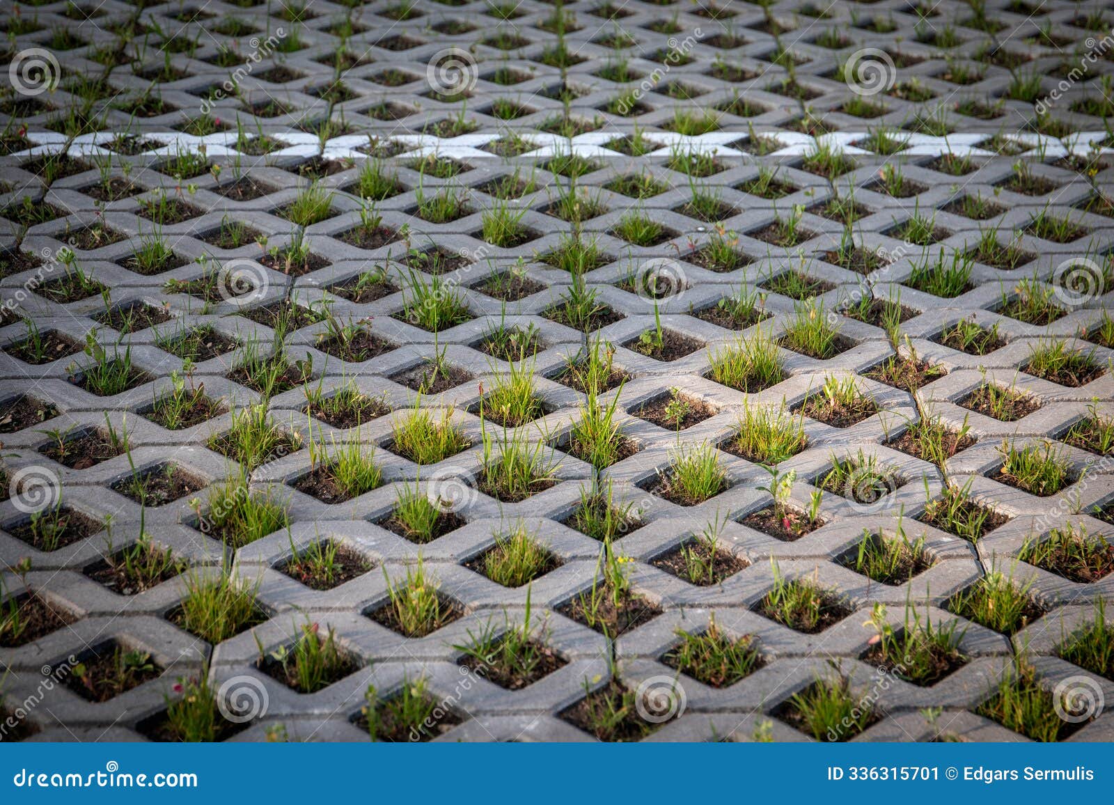 Design Solution for Street Construction, Pavement and Grass in between ...