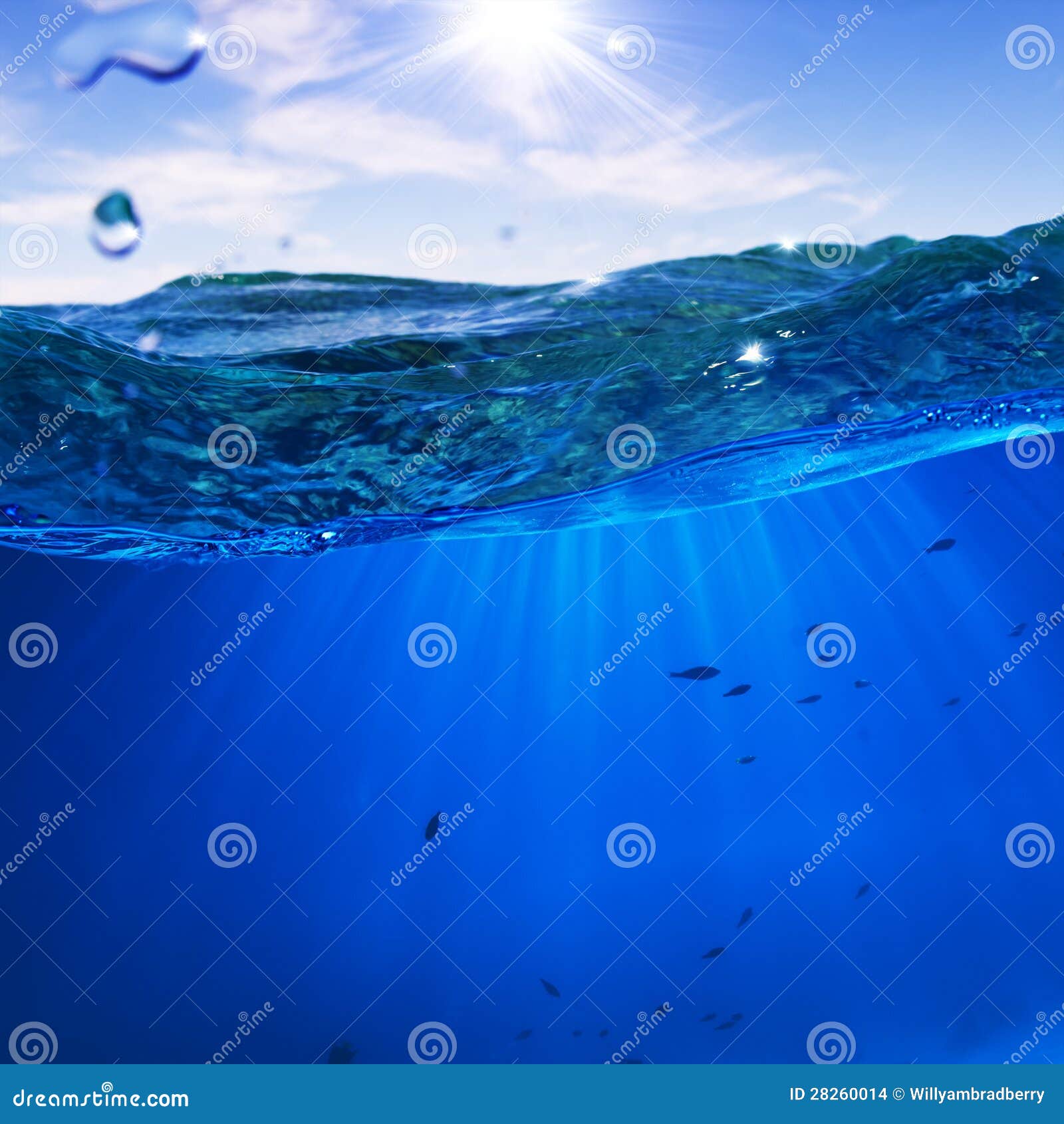 Design Template With Underwater Part And Sunset Skylight Splitted By ...