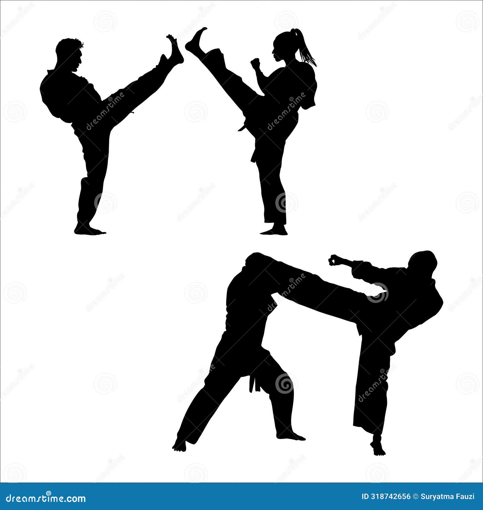 Collection Of Martial Arts Belts With Different Rank Colors ...