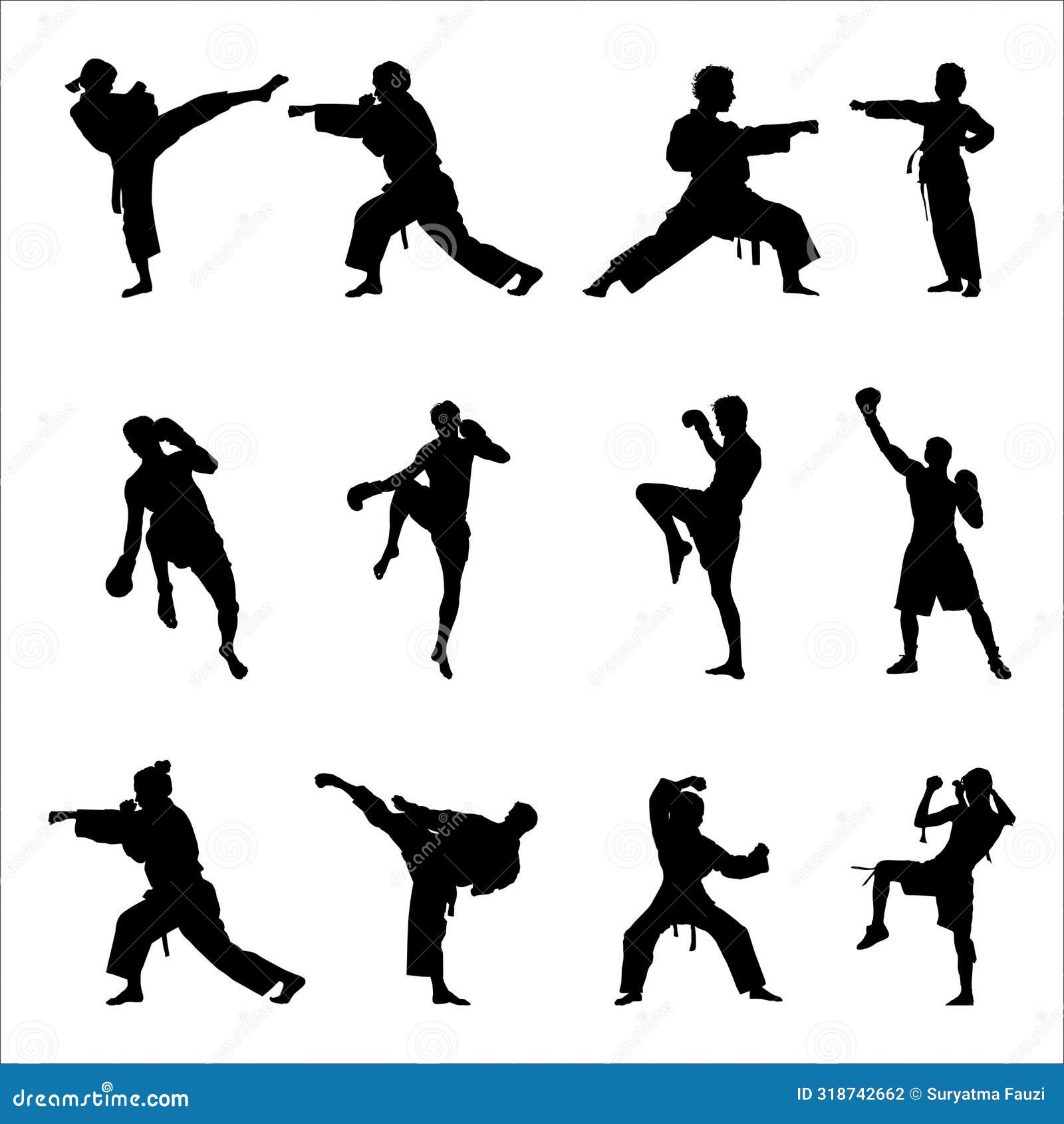 Collection Of Martial Arts Belts With Different Rank Colors ...