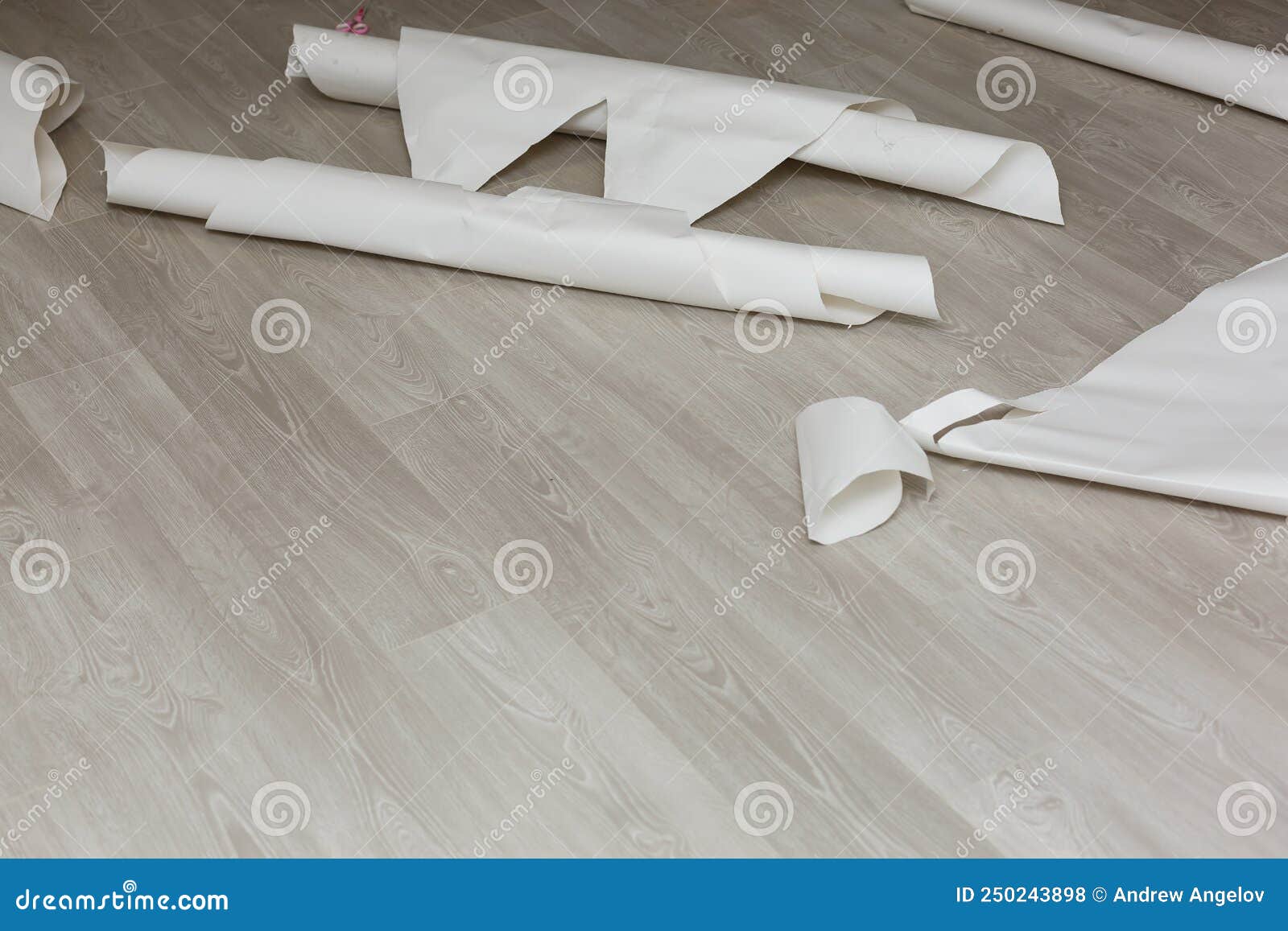 Designer Creates a Model. Layout of the Sewing Pattern on Paper Stock ...