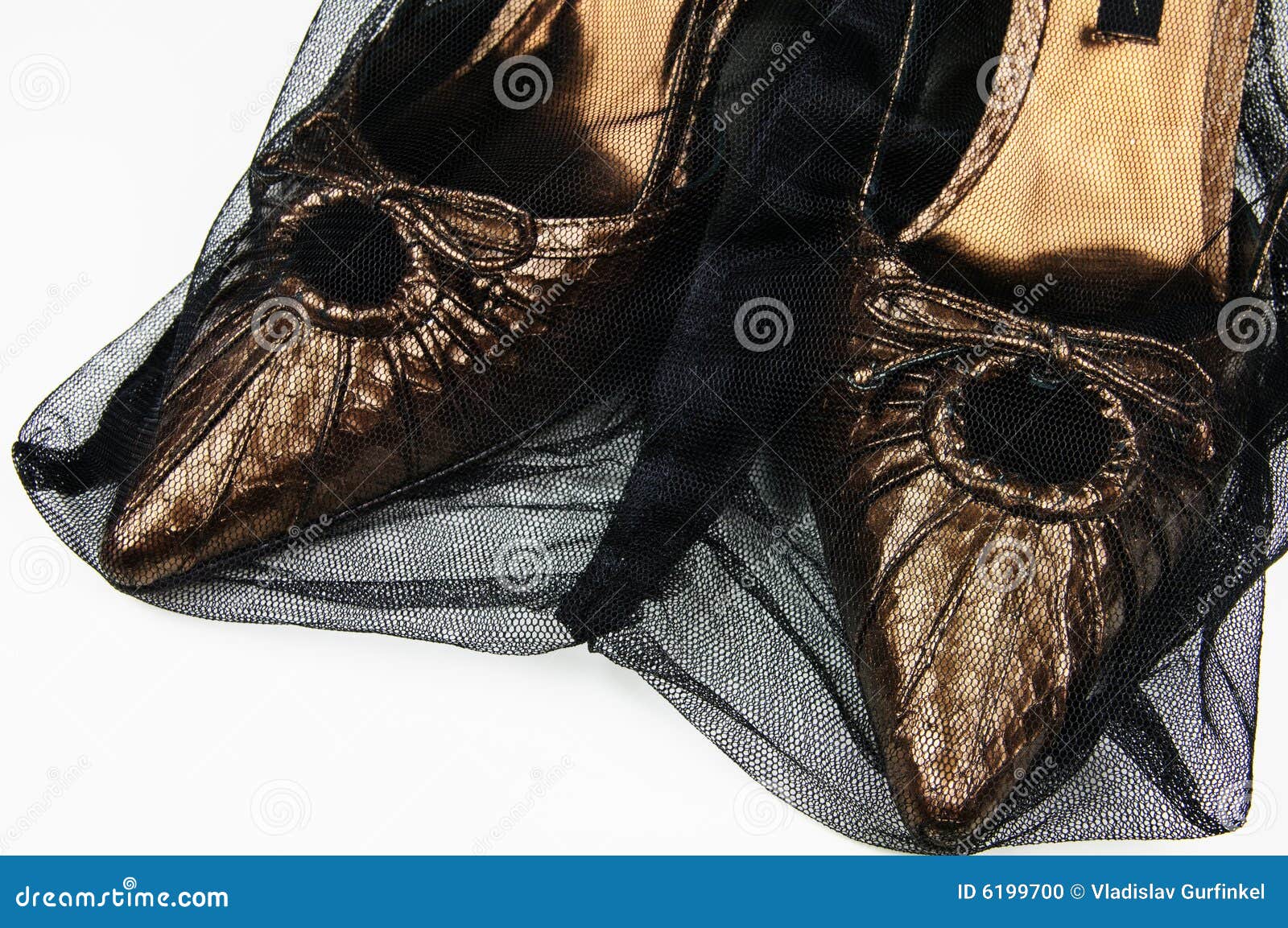 Designer Shoes in Storage Net Stock Photo - Image of luxury, modern ...