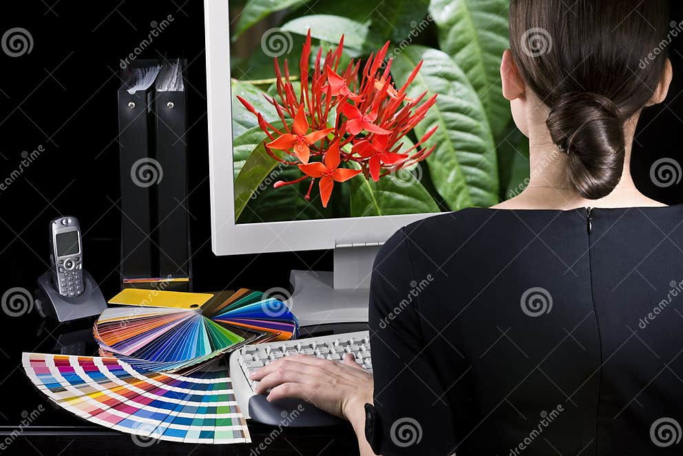 Designer at work stock photo. Image of back, guide, color - 4176436