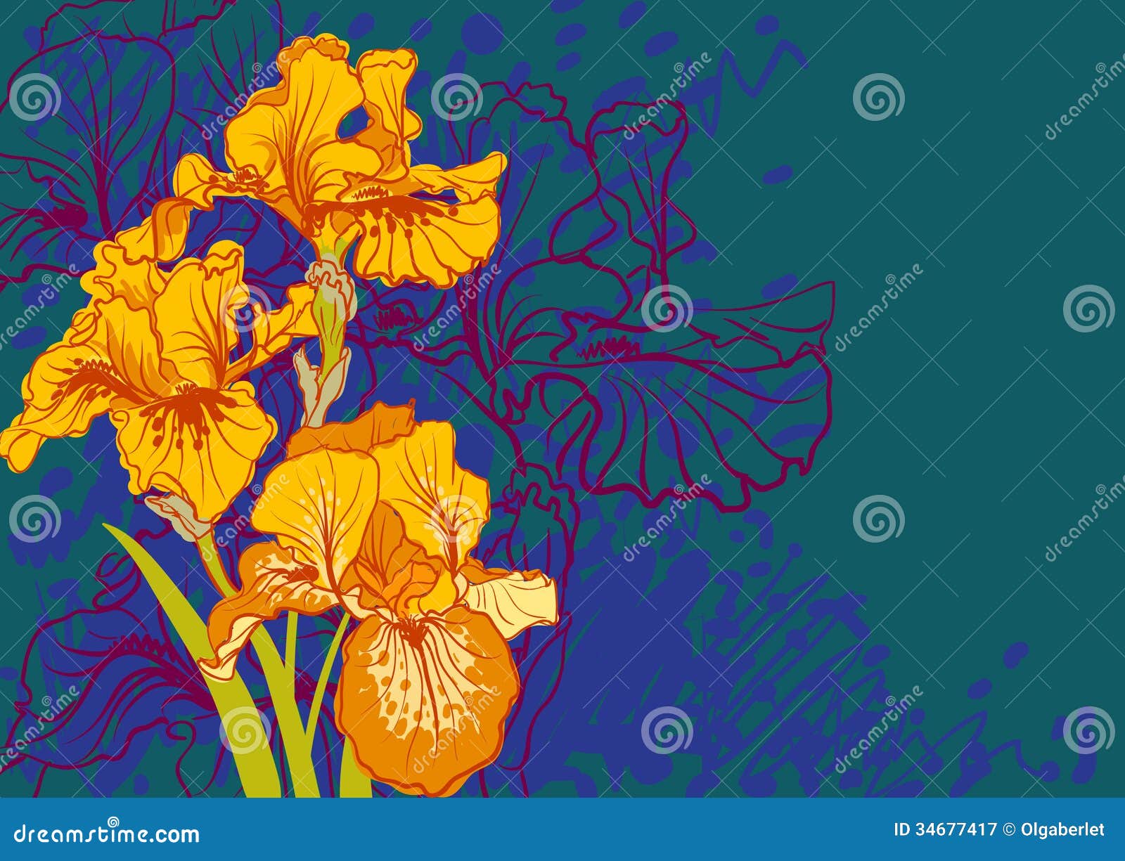 Designs of iris flowers stock vector. Illustration of botany - 34677417