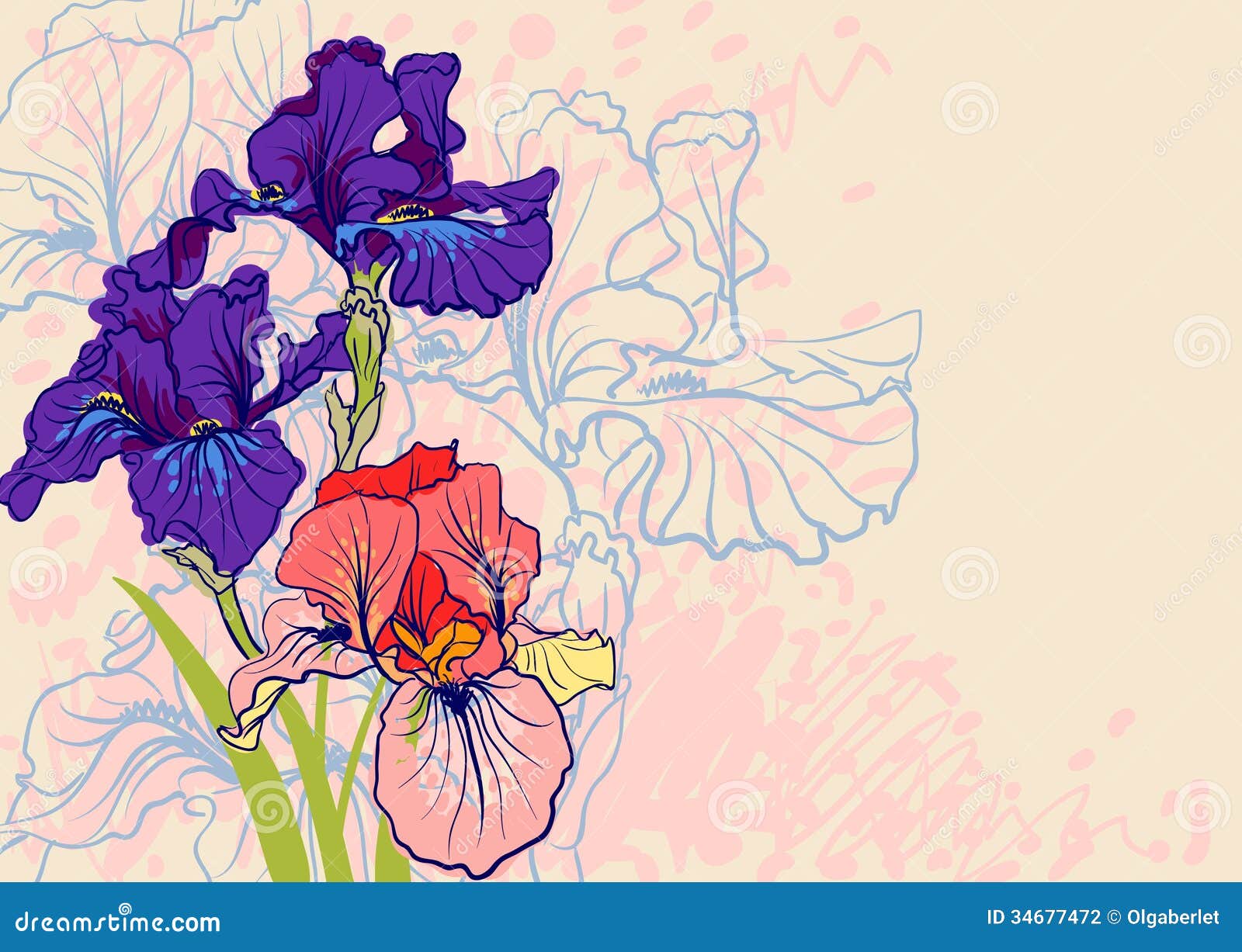 Designs of iris flowers stock vector. Illustration of design - 34677472