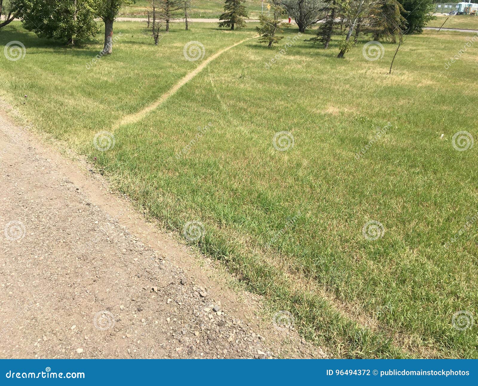 When Desire Paths Have Desire Paths Picture. Image: 96494372