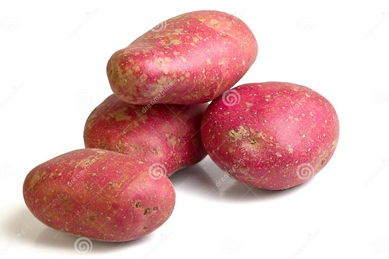 Desiree potato stock photo. Image of isolated, skin, ripe - 19053130