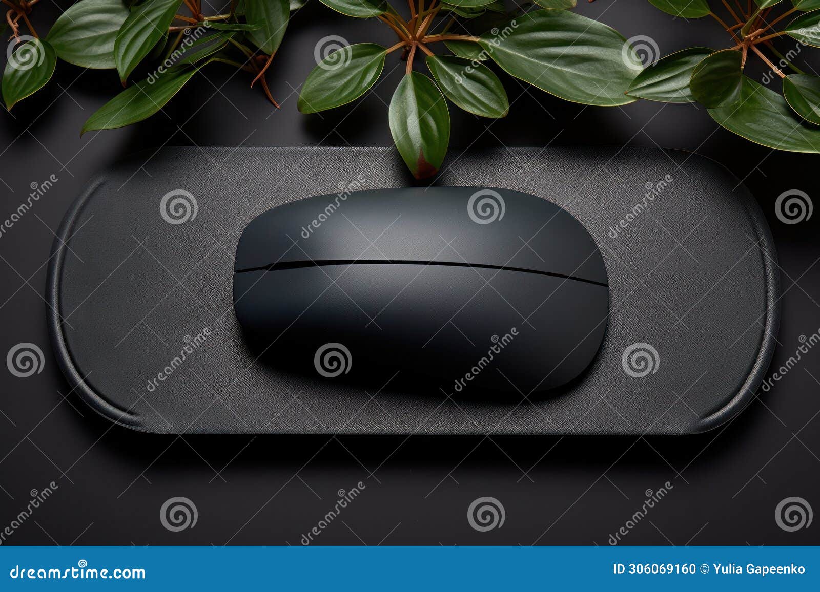 A Desk with a Black Computer Mouse and a Plant or Two Stock Photo ...