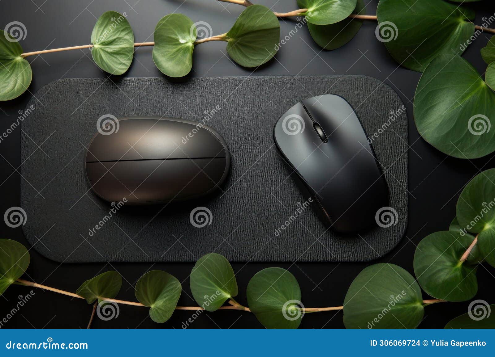 A Desk with a Black Computer Mouse and a Plant or Two Stock Photo ...